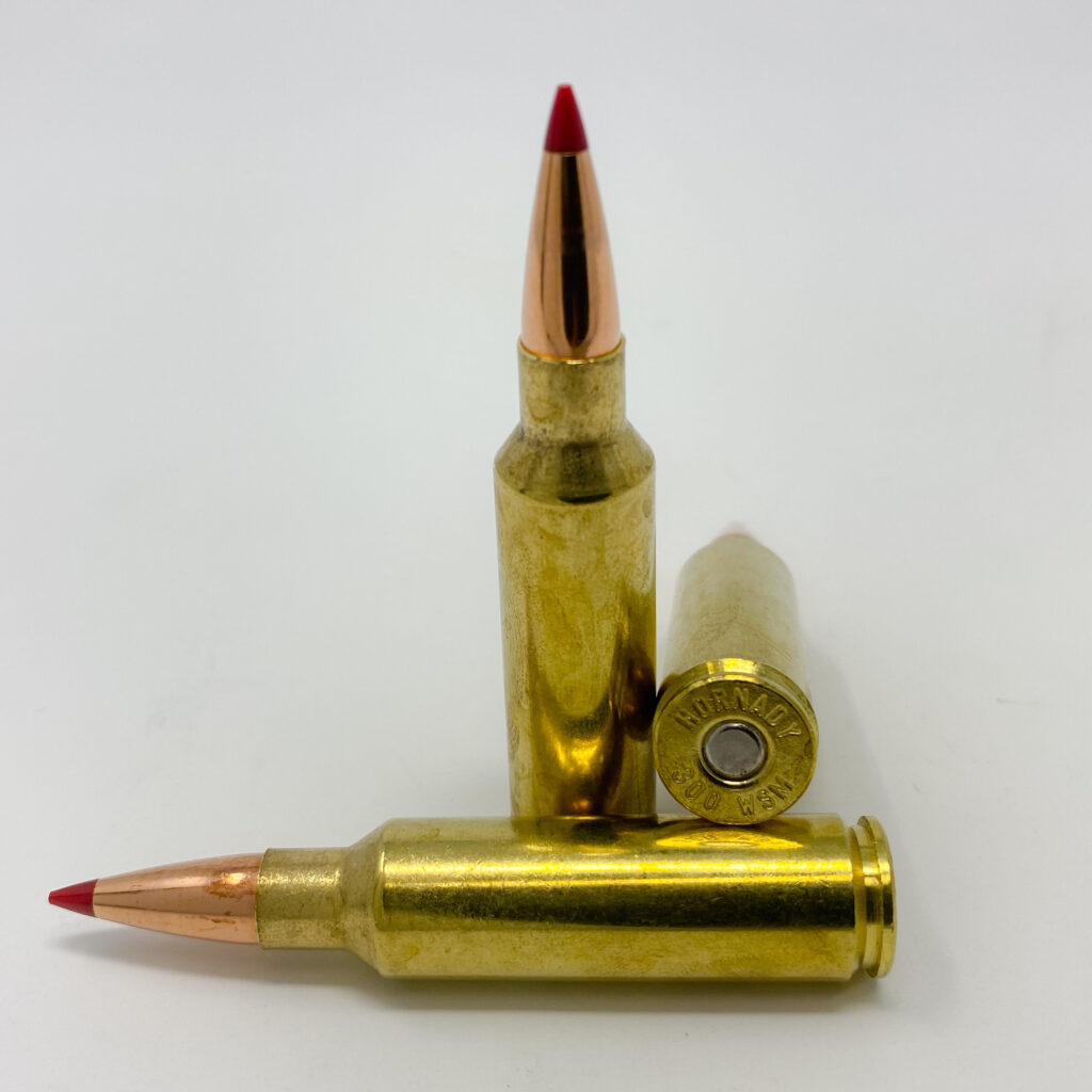 300 WSM 178 Hornady ELD-X - Unknown Munitions